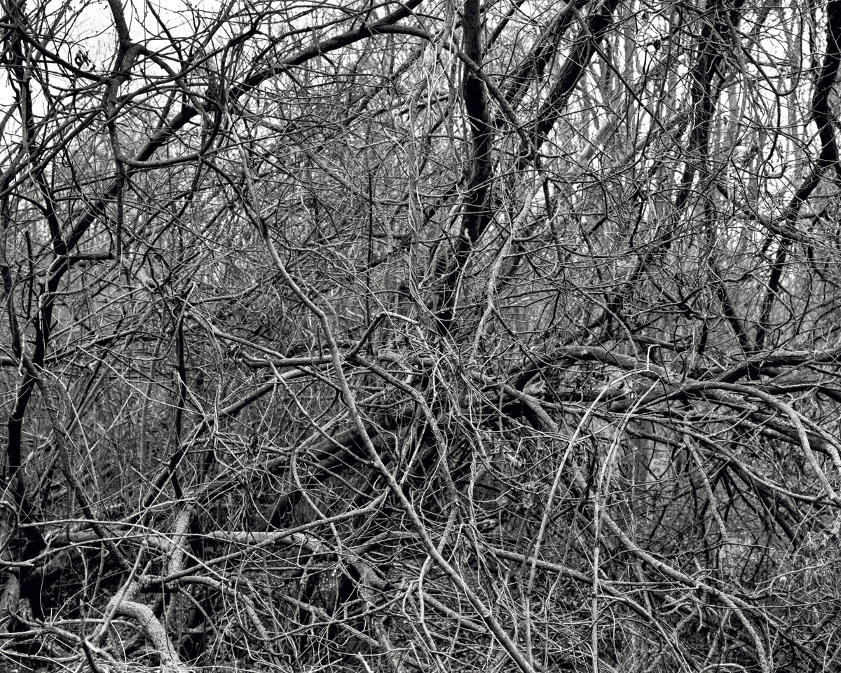 Bilder öffnen Türen – auch in die eigene schmerzliche Erinnerung. Anne ...